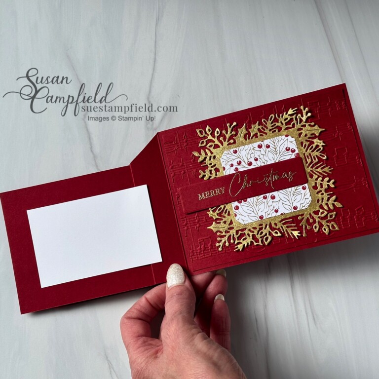 Five Amazing Cascading Pleats Fun Fold Cards! - Suestampfield