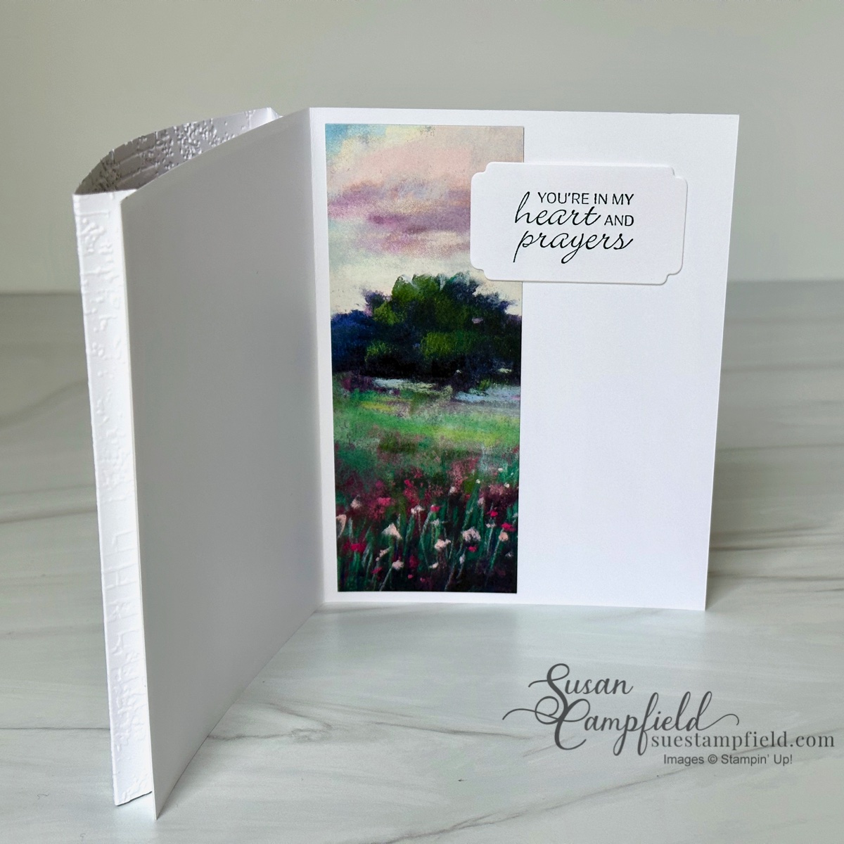Meandering Meadow Window Fun Fold Card - Suestampfield