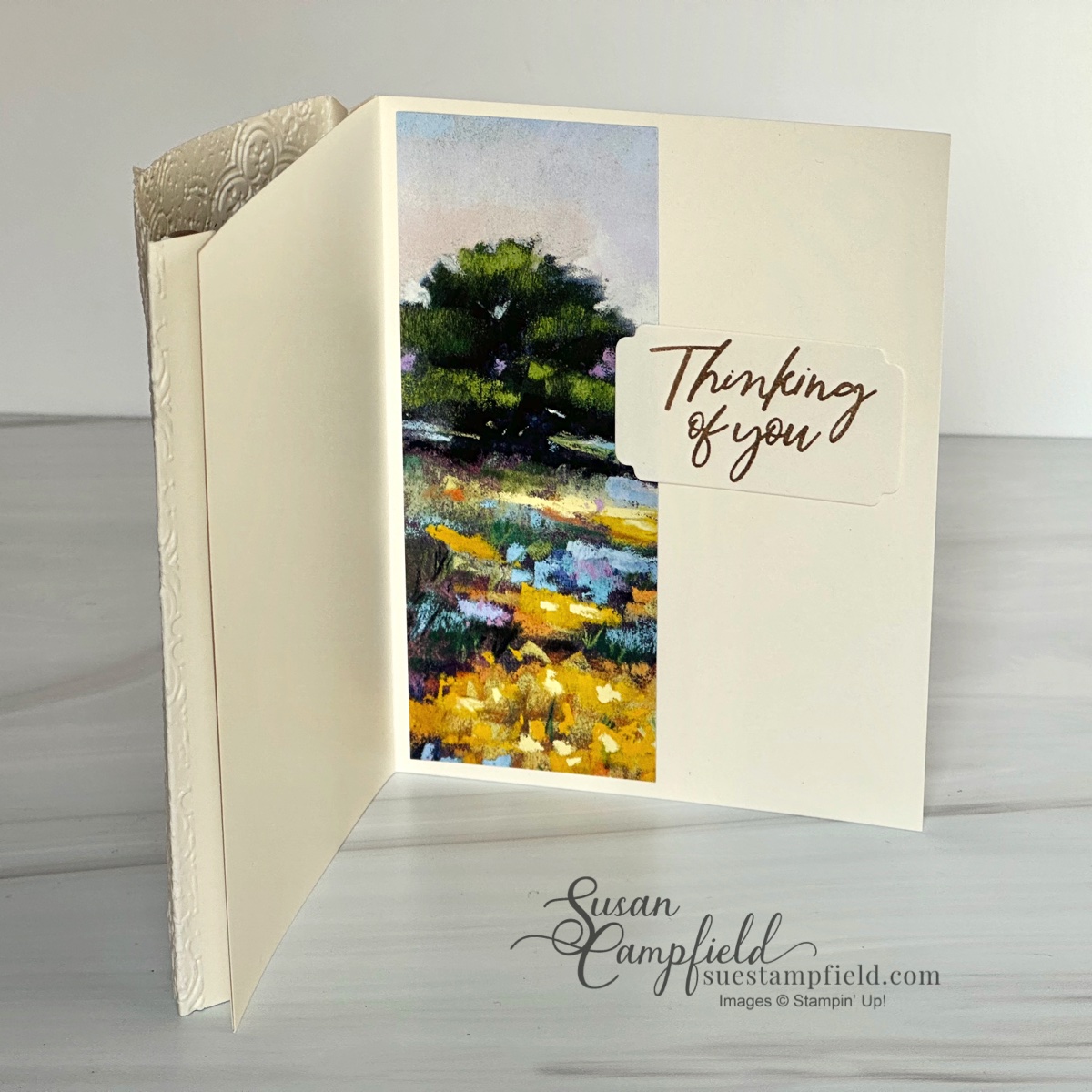 Meandering Meadow Window Fun Fold Card - Suestampfield