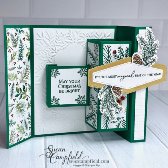 Tuck & Reveal Fun Fold Card | November Crafternoon 2025 - Suestampfield